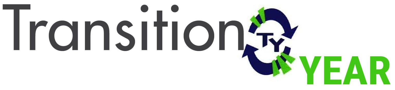 Transition Year – Patrician High School